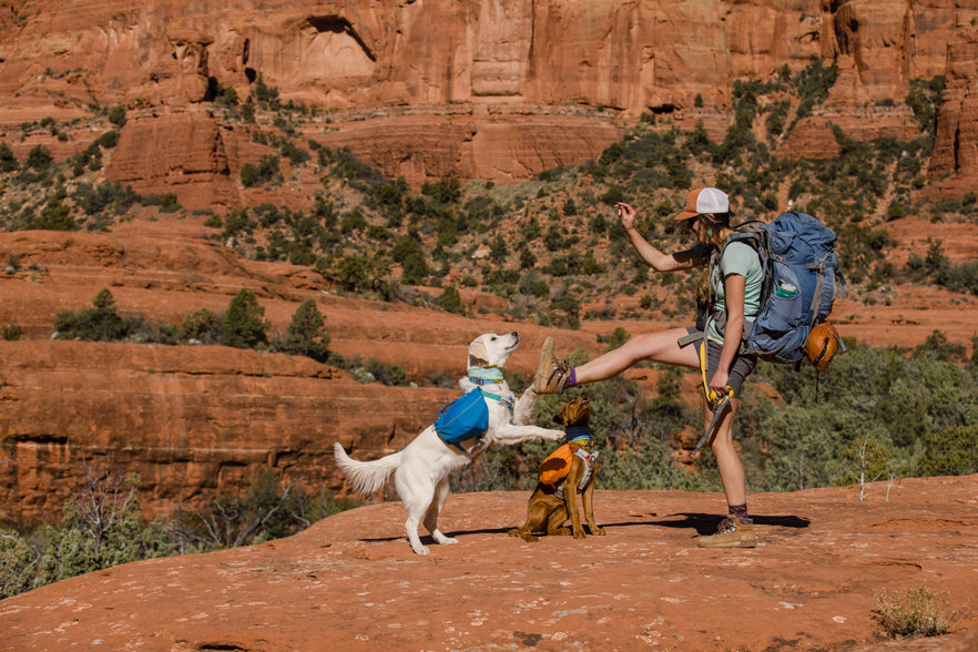 Waypoints: Hailey Hagerty, Sky & Ripley | Ruffwear UK