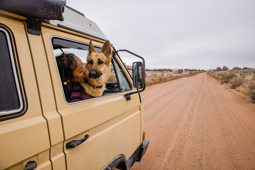 The Scoop: Road Tripping with the Dogs of Ruffwear | Ruffwear UK