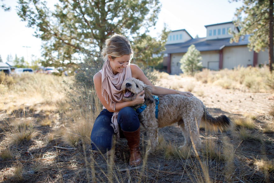 Reading With Marv: A Therapy Dog's Greatest Gift | Ruffwear UK