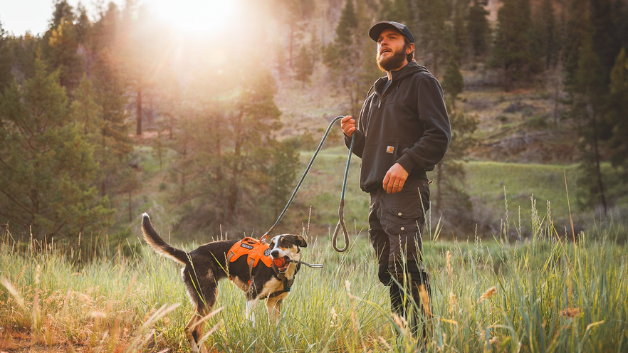 Working Dog Gear | Ruffwear UK