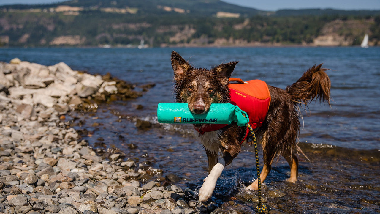 Jouet flottant Lunker™ | Jeu de recherche interactif | Ruffwear