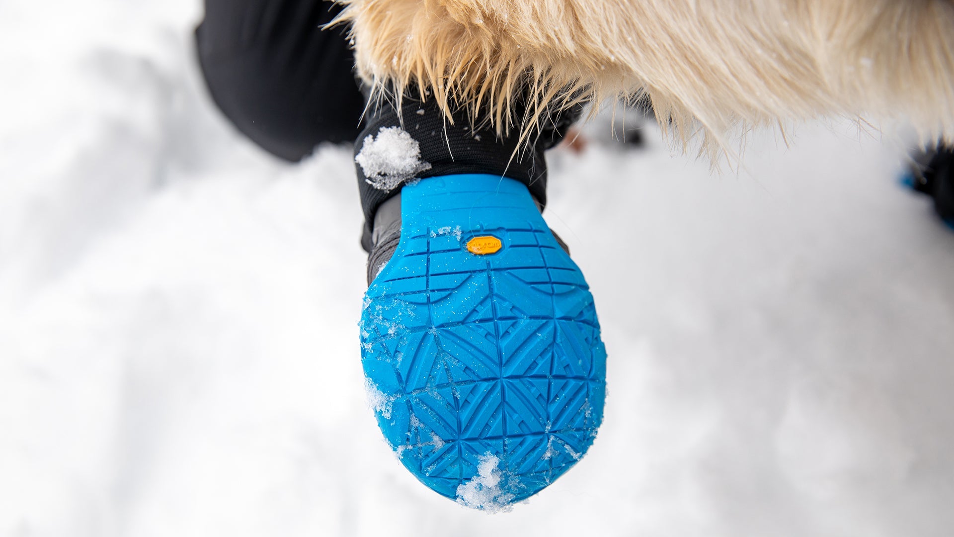 Dog booties for snow and ice store